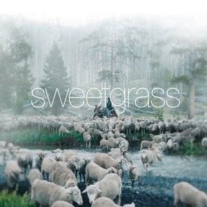 Sweetgrass - Rotten Tomatoes