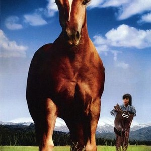 The Red Fury - Rotten Tomatoes