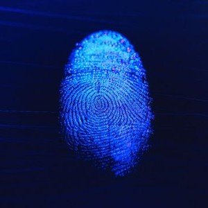 Extreme Forensics - Rotten Tomatoes