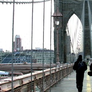 The Human Experience - Rotten Tomatoes