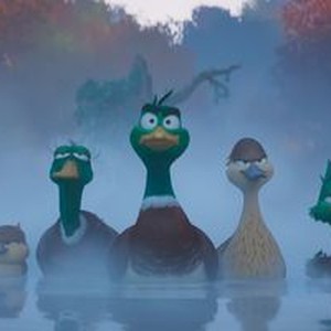 Migration - Rotten Tomatoes