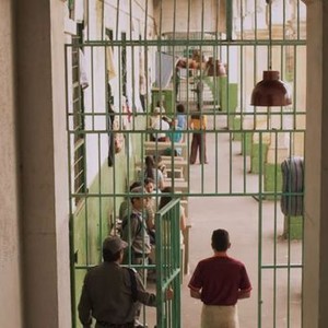 The Snitch Cartel: Origins: Season 1, Episode 3 - Rotten Tomatoes