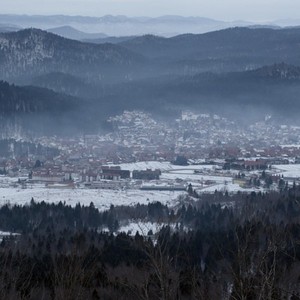 Goran - Rotten Tomatoes