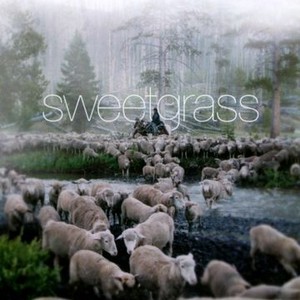 Sweetgrass - Rotten Tomatoes