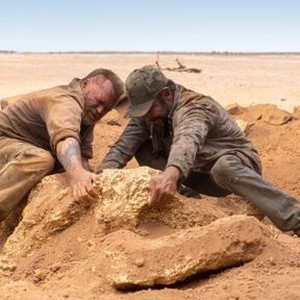 Gold - Rotten Tomatoes