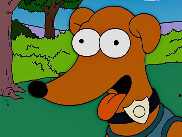 Simpsons Dog Videos