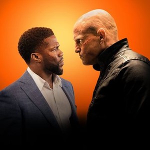 The Man From Toronto - Rotten Tomatoes