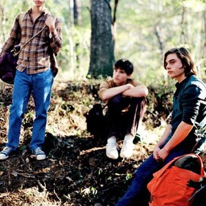 Maximillian Roeg - Rotten Tomatoes