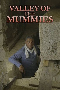 Kingdom of the Mummies: Mystery of the Silver Mask: Season 1 | Rotten Tomatoes