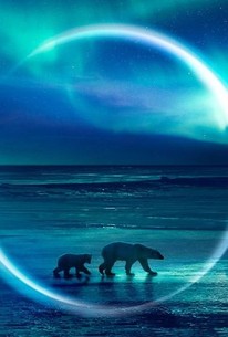 Planet Earth: Frozen Planet II: Season 1, Episode 2 - Rotten Tomatoes