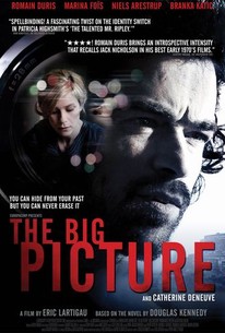 The Big Picture | Rotten Tomatoes