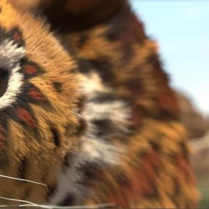 Khumba - Rotten Tomatoes