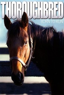 Thoroughbred | Rotten Tomatoes