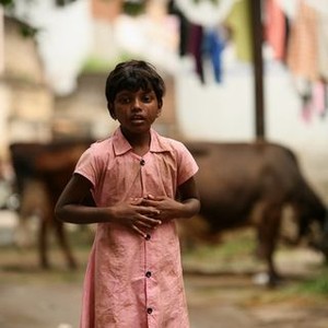 Not Today - Rotten Tomatoes