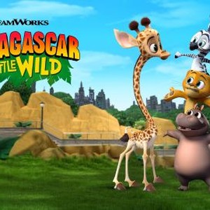 Madagascar: A Little Wild - Rotten Tomatoes