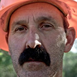 Gold Rush - Rotten Tomatoes