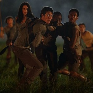 The Maze Runner - Rotten Tomatoes