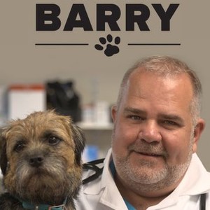 Doctor Barry: Season 1, Episode 2 - Rotten Tomatoes