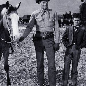 Cattle Drive - Rotten Tomatoes