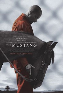 The Mustang | Rotten Tomatoes