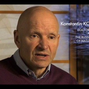 Secret of Water - Rotten Tomatoes