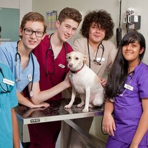 Junior Vets: Season 1, Episode 5 - Rotten Tomatoes