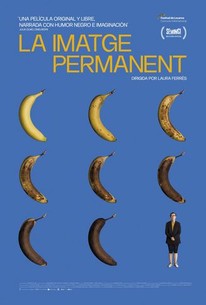 The Permanent Picture | Rotten Tomatoes