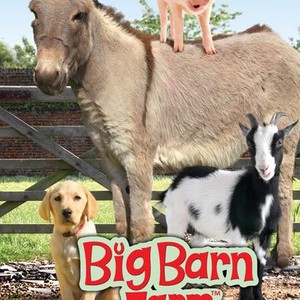 Big Barn Farm - Rotten Tomatoes