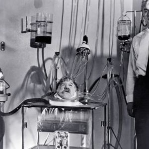 The Head - Rotten Tomatoes