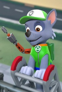 PAW Patrol: Season 3, Episode 22 | Rotten Tomatoes