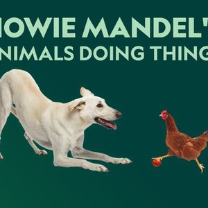 Howie Mandel's Animals Doing Things - Rotten Tomatoes