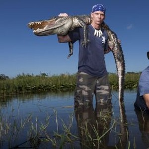 Gator Boys - Rotten Tomatoes
