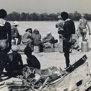 Shady Lady - Rotten Tomatoes