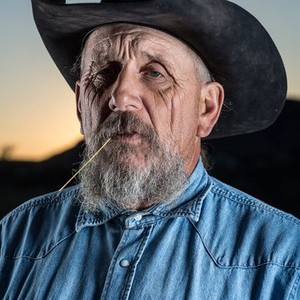 No Man's Land - Rotten Tomatoes