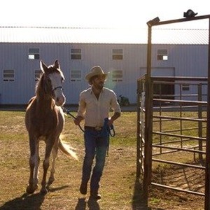 Wheeler - Rotten Tomatoes