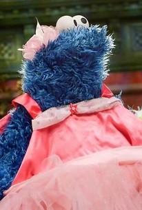 Sesame Street: Season 46, Episode 29 - Rotten Tomatoes