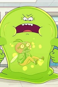 Oddballs: Season 1, Episode 5 | Rotten Tomatoes