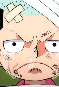 One Piece: Season 20, Episode 145 | Rotten Tomatoes