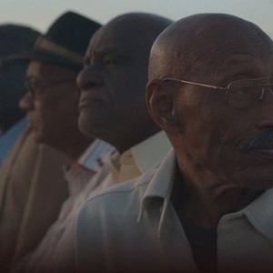 Talking About Trees - Rotten Tomatoes