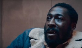 BMF - Rotten Tomatoes