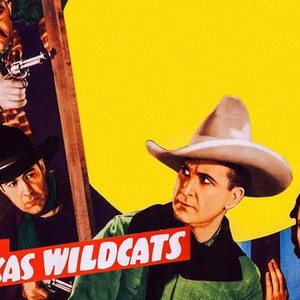 Texas Wildcats - Rotten Tomatoes