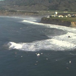 Discovering Mavericks - Rotten Tomatoes