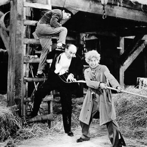 Harpo Marx - Rotten Tomatoes