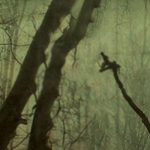 Sticks - Rotten Tomatoes