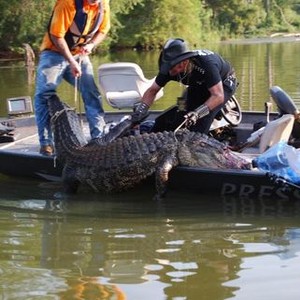 Billy Bretherton - Rotten Tomatoes