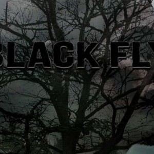 Black Fly - Rotten Tomatoes