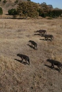 Prehistoric Predators: Season 1, Episode 2 | Rotten Tomatoes