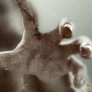 Live Animals - Rotten Tomatoes