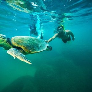 Limitless With Chris Hemsworth - Rotten Tomatoes