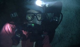 Sanctum - Rotten Tomatoes